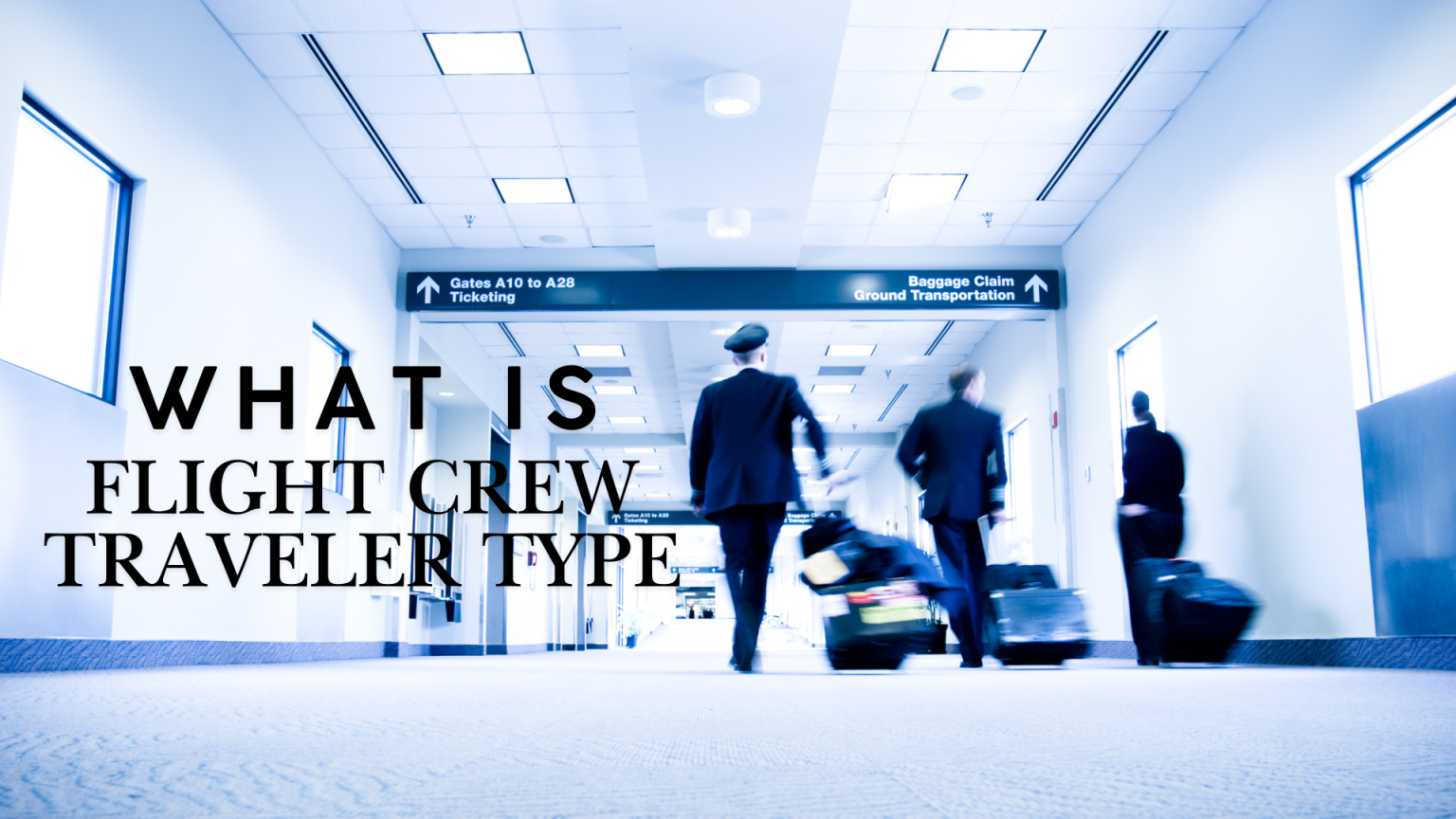 What is Flight Crew Traveler Type | 4 Must-Know Ideas